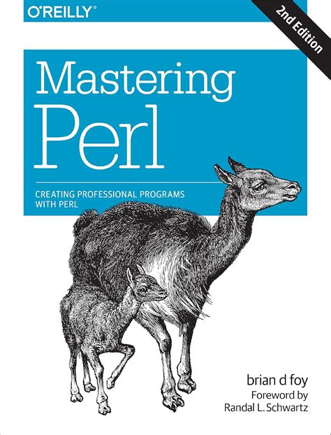 Mastering Perl Creating Professional Programs With Perl Foy Brian D