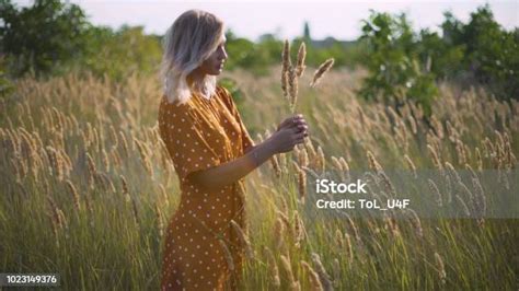 아름 다운 젊은 여자는 꽃과 Spikelets의 꽃다발 필드 수집에 산책 일몰 또는 해돋이에 잔디에 매력적인 여자의 초상화 가을에 대한 스톡 사진 및 기타 이미지 Istock