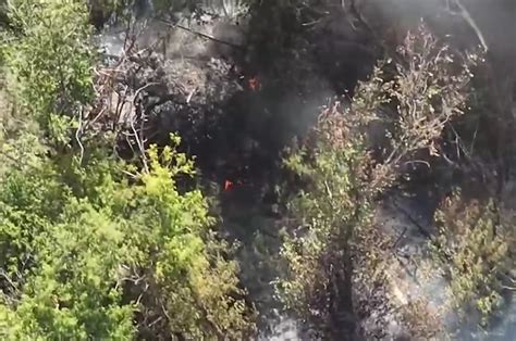 На Краматорському напрямку прикордонники знищили ЗРК «Стріла 10 та танк Т 62 окупантів Читайте