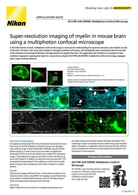 Super Resolution Imaging Of Myelin In Mouse Brain Using A Multiphoton Confocal Microscope