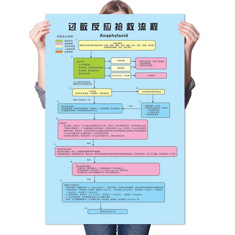 医院急救流程步骤挂图示意图过敏反应休克心肺复苏抢救流程图墙贴