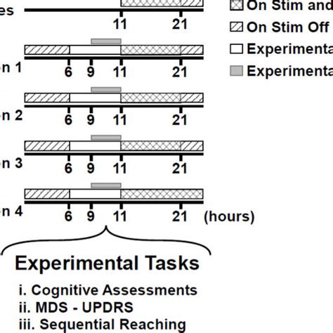 Converting A Triangular Mesh Into A Simplex Mesh Color Figure Online Download Scientific Diagram