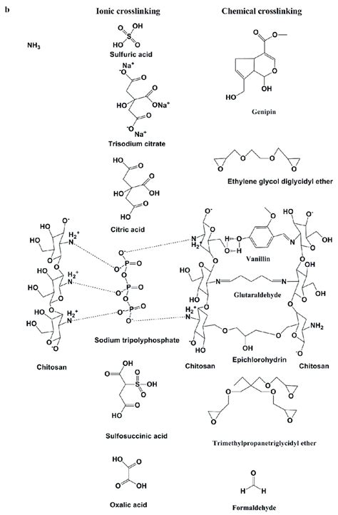 Polyelectrolyte Complexations A Chitosan Based Interpolymer Download Scientific Diagram