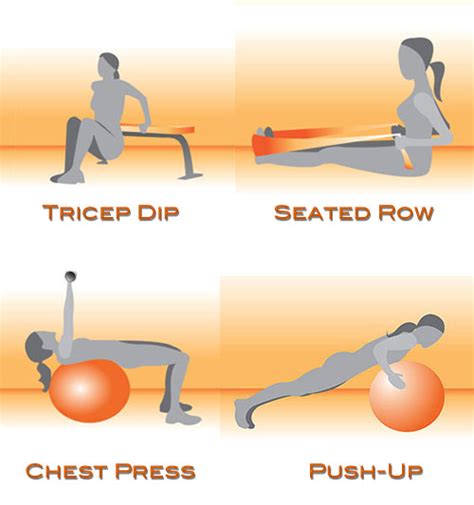 Back Exercises Aaos Back Exercises