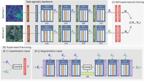 Figure 2 From Self Supervised Vision Transformers For Land Cover Segmentation And Classification