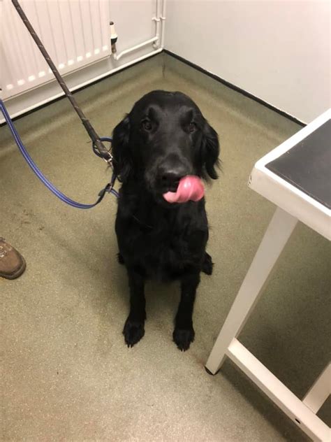 🌟 Patient Of The Month 🌟 Frame And Swift Limited