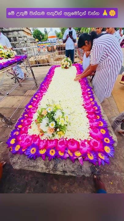 මේ උතුම් පින්කම සතුටින් අනුමෝදන් වන්න 🙏 රුවන්වැලි මහා සෑය ස්වර්ණමාලි මහා සෑය Buddha Buddism