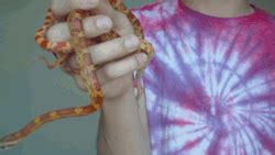 Meowthtomeowth Tumblr Com Post 11257966758 Porn Photo Pics