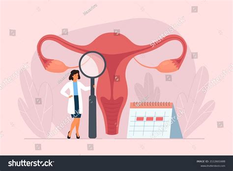 Female Menstrual Cycle Female Doctor Tracking Stock Vector Royalty Free Shutterstock
