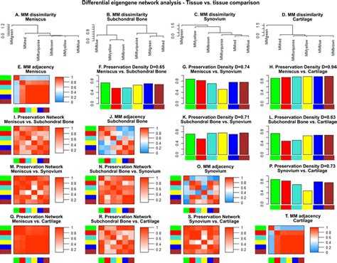 differential eigengene network analysis across four joint tissues