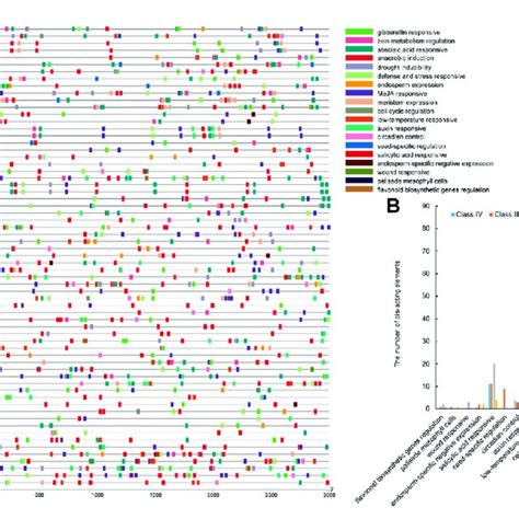 Cis Acting Elements In The Promoter Regions Of Legume Acbps Genes A Download Scientific