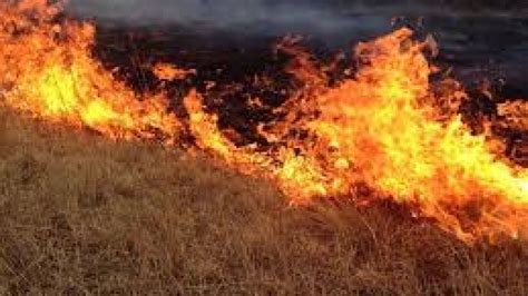 Хээрийн түймэрт айлын гэр хашаатай хонь шатжээ E Mn