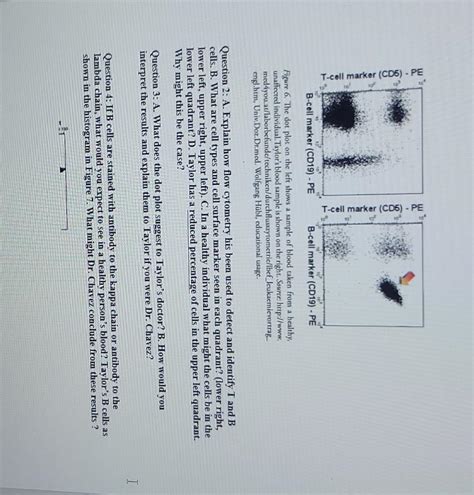 T Cell Marker Cd5 Pe T Cell Marker Cd5 Pe