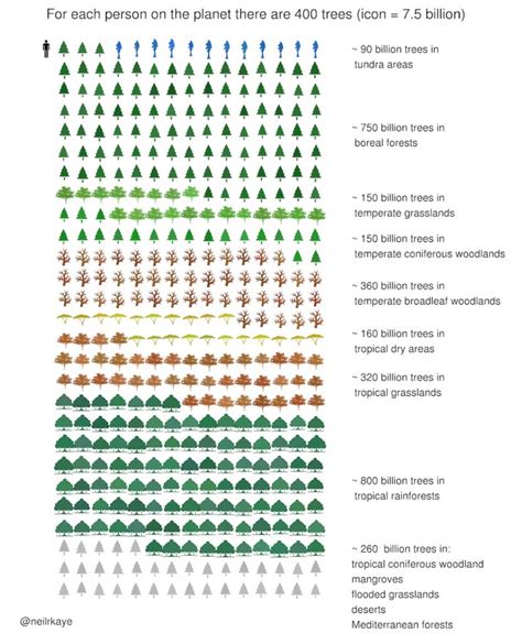 The Number Of Trees Per Person On The Planet Infographic ProtoThema English