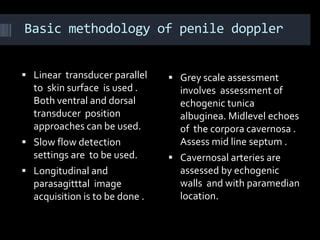 Penile Doppler A Review PPTX
