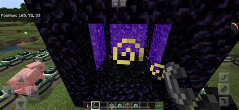 My Trap Nether Portals On All 4 Sides And End Portals On Top And Bottom R Minecraft