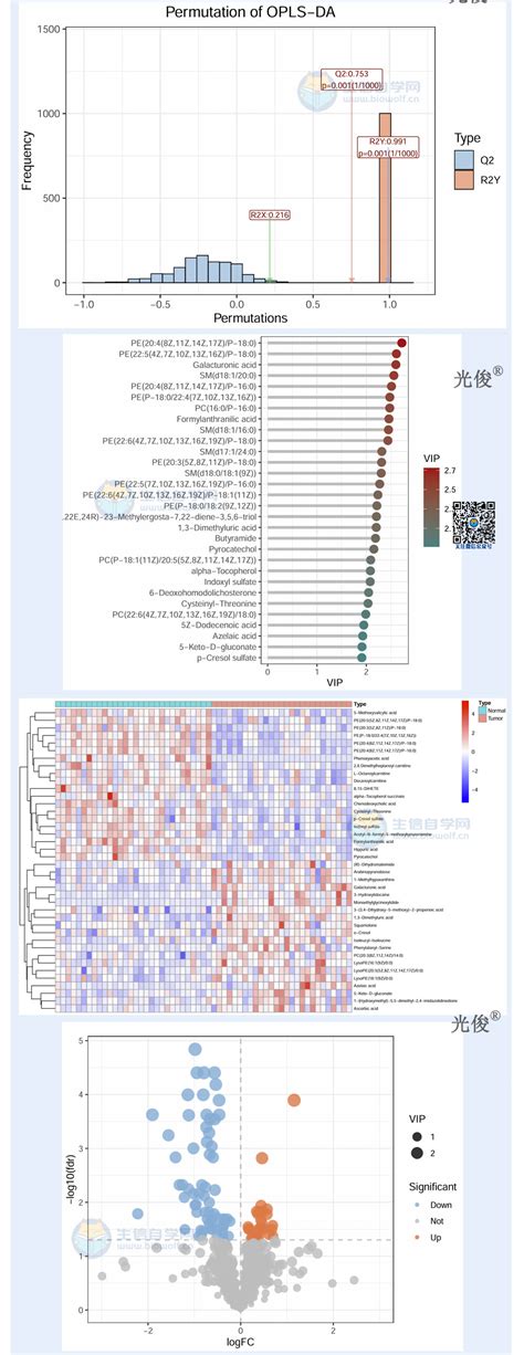 代谢组学数据分析视频 Metabolights数据库 Pca Pls 生信自学网