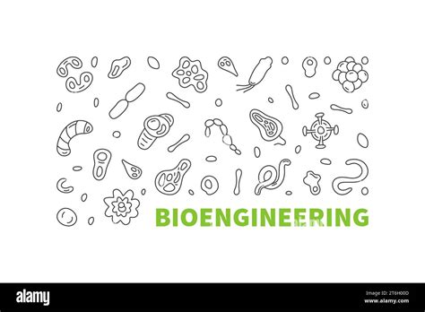 Bioengineering Vector Science Concept Outline Horizontal Banner Bio Engineering Illustration