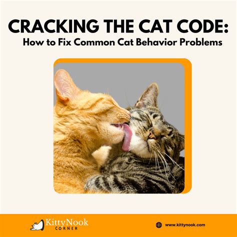 Cracking The Cat Code How To Fix Common Cat Behavior Problems