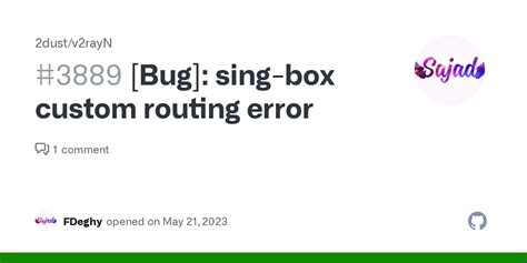 Bug Sing Box Custom Routing Error · Issue 3889 · 2dustv2rayn · Github