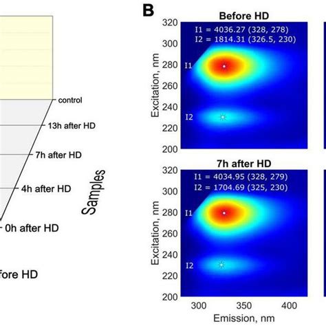 A Distribution Intensity Weighted Of Hydrodynamic Particle Download Scientific Diagram
