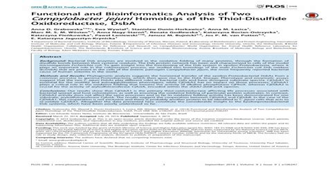 Pdf Functional And Bioinformatics Analysis Of Two Dokumentips
