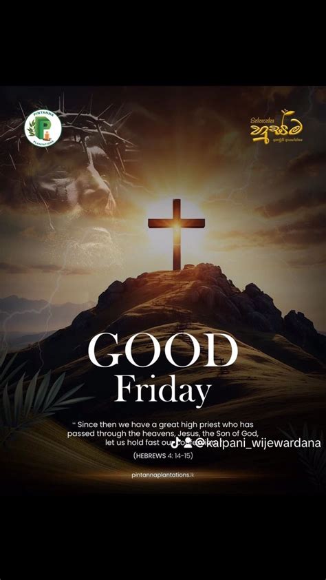 Kalpani Wijewardana On Linkedin Pintanna Pintannaplantation Oud Agarwood Unanduwa Goodfriday…