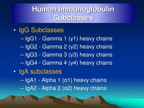 Ppt Immunoglobulin Structure And Function Powerpoint Presentation Free Download Id 4523429