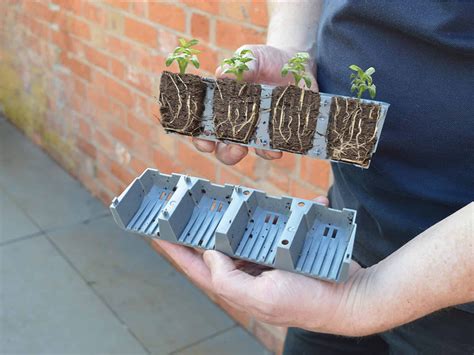 Improve Your Gardening With The Grown Local 24 Cell Fast Root Success Kit