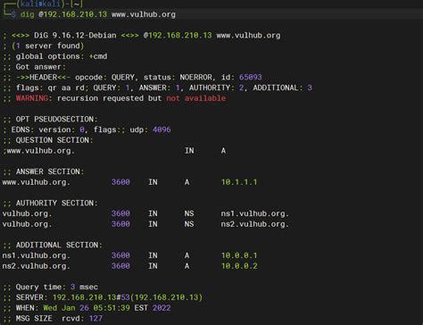 Vulhub 漏洞学习之：dns Fcarey 博客园