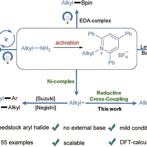 Diverse Activation Modes Of Pyridinium Salts And The Advantages Of This