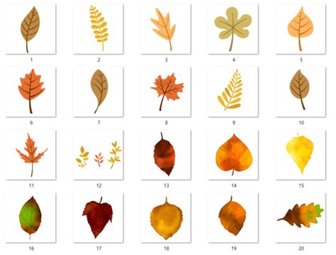 유치원 도안 가을 열매 원형리스 원형메모지 가을 클립아트 Png 가을 환경구성 가을 카드 공예 가을 어린이 공예