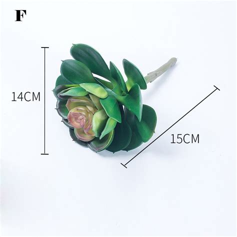 Simulation Plants Artificial Succulent Plant Artif Grandado