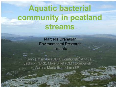 Aquatic Bacterial Community In Peatland Streams [marcella Branagan] Pptx Chemistry Science