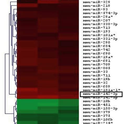 Frontiers In Cellular And Infection Microbiology