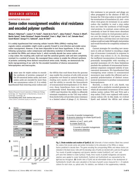 Pdf Sense Codon Reassignment Enables Viral Resistance And Encoded Polymer Synthesis