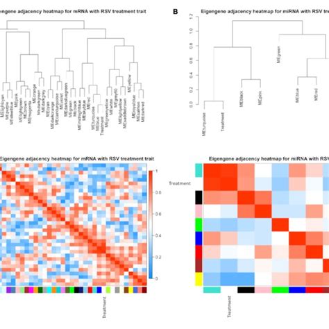 Eigengene Dendrogram And Adjacency Heatmap Of Different Co Expression
