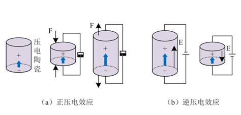 压电陶瓷：为超精密领域的发展打开了一扇门 要闻 资讯 中国粉体网