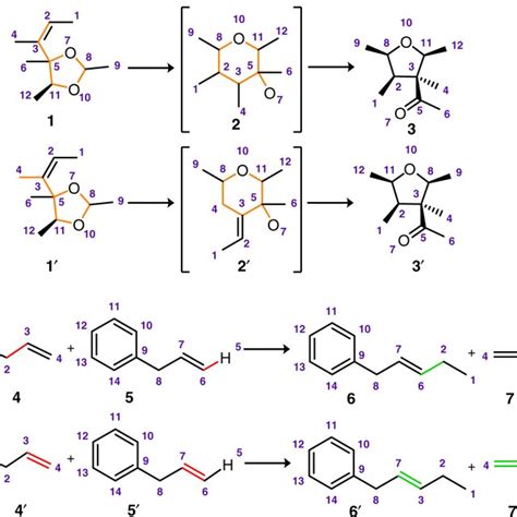 Examples Of Mapped Complex Reactions A E Reactions Mapped Correctly