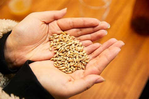 셀프 인터뷰 맥주 만들면서 과학을 배운다 동원그룹 동원산업