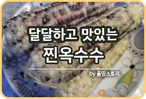 찐옥수수 레시피 옥수수 찌는 시간 방법 옥수수수염