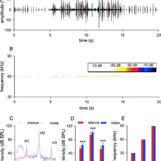 The Effects Of Spectrally Non Overlapping Noise On Echolocation Pulses Download Scientific