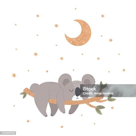 한밤하늘의 나뭇 가지에서 자고있는 귀여운 작은 코알라 흰색 배경에 포스터 패브릭 프린트 및 어린이 카드를위한 어린이
