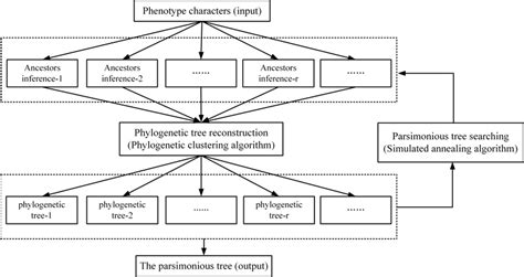 The Framework Of Phylogenetic Analysis Method Based On Hcpc Download