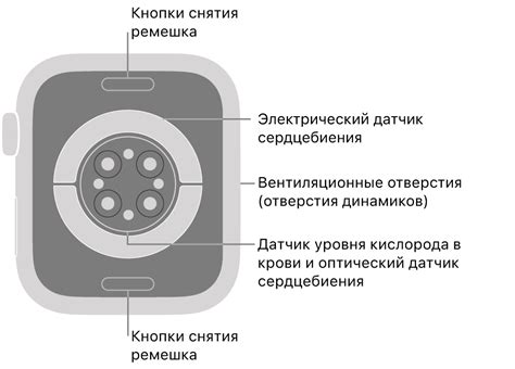 Модели Apple Watch Служба поддержки Apple Ru
