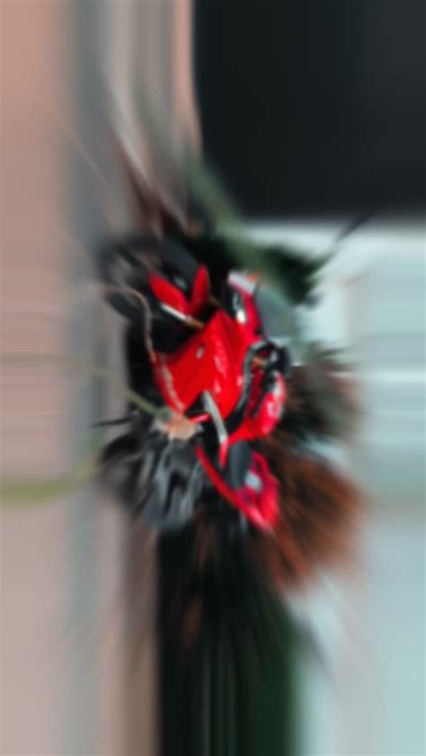 Selva Jawahar 𝕳𝖊𝖞𝖞 𝖞𝖔𝖚 😩 Selvajawahar 1mreelsviralreelstrendingbikes