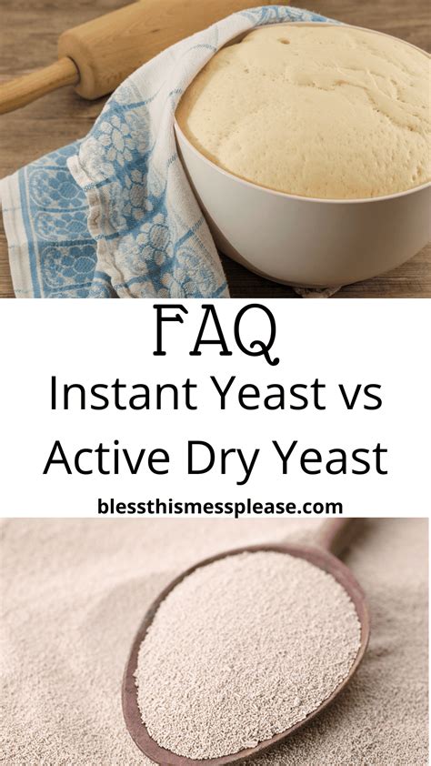 Instant Yeast Vs Active Dry Yeast Everything You Need To Know — Bless