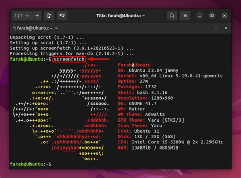 Check The Linux Os Version In 5 Easy Ways