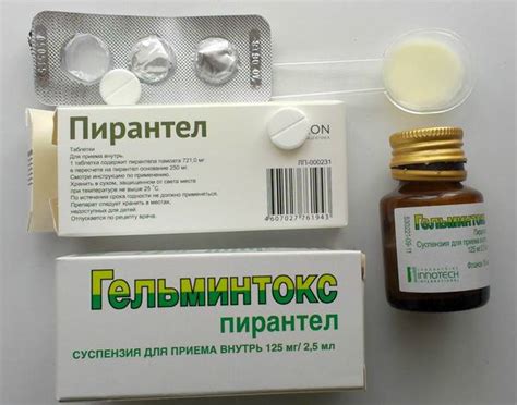Как избавиться от глистов: в домашних условиях, перечень лекарств