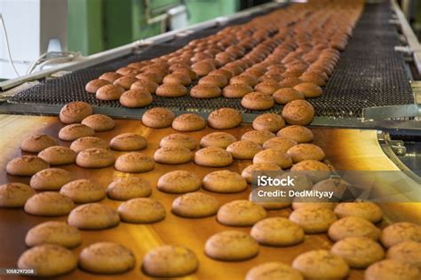 과자 공장 작업장 산업 식량 생산에에서 컨베이어 벨트 장비 기계에 달콤한 쿠키와 자동 베이커리 생산 라인 빵집에 대한 스톡 사진 및 기타 이미지 Istock